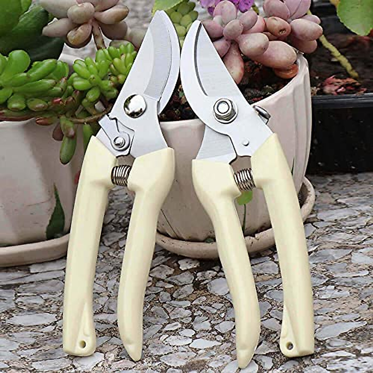 BUGUI Bypass Garden Pruning Shears - 2 Pack, Ultra Lightweight Hand Pruners Make Cut Smooth & Clean, Professional Gardening Scissors for Cutting Live Flowers, Plants, Light Branches.