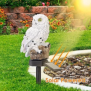 Owl Solar Garden Light - IP65 Waterproof Decorative with Stake for Outdoor Yard Pathway Outside Patio Lawn Decor Scare Birds Away