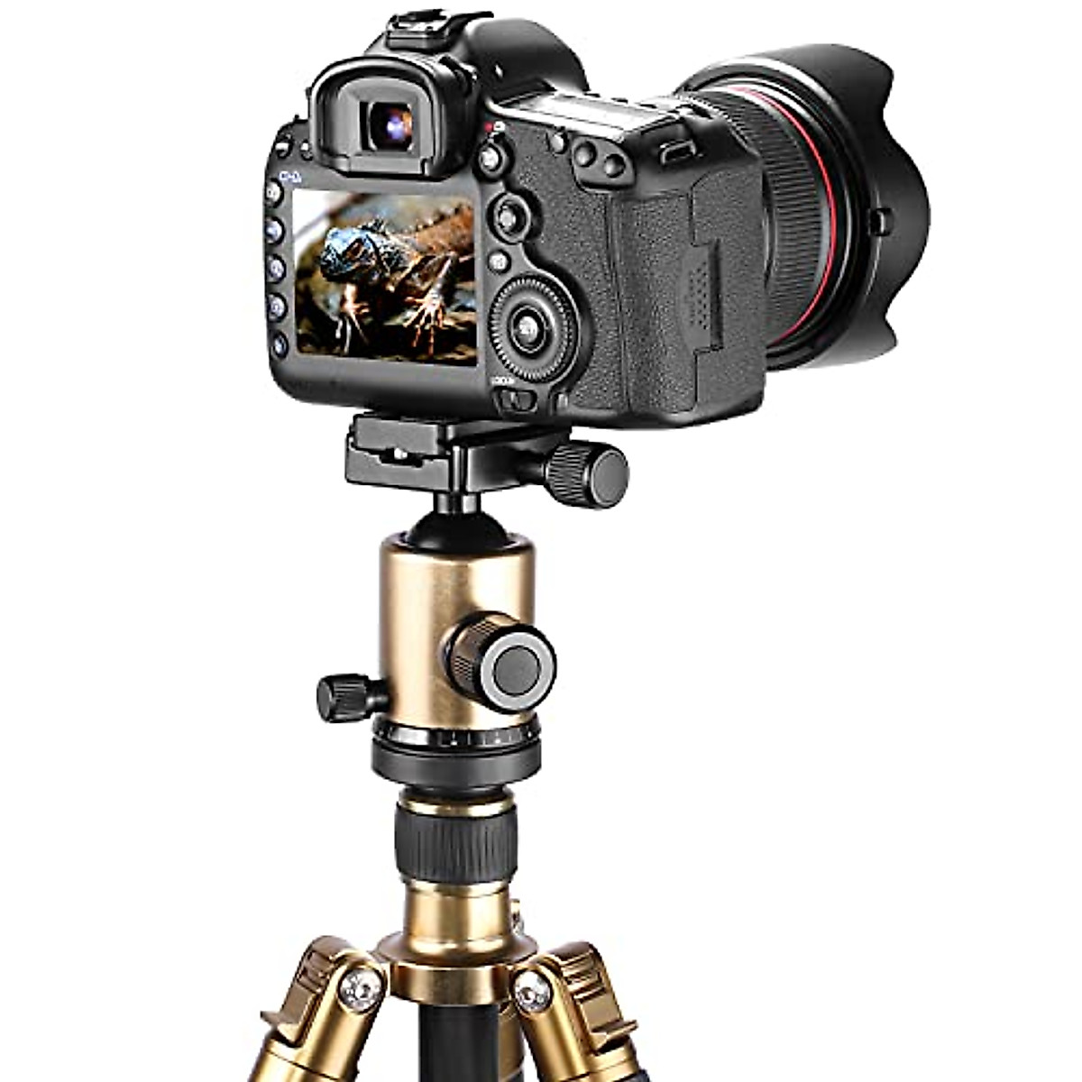 Neewer 2 Pieces Metal PU-60 60 Millimeter Universal Quick Shoe Plate with 1/4 inch Screw, for Camera Tripod Ball Head(Black)