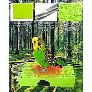 Bird Heater for Cage Bird Perch Stand Warmer Snuggle Up Fit for African Grey, Parakeets, Parrots, Small Birds, Hamsters, Hedgehogs, Chinchillas and Other Animals, 12V 3.3"x6" Cross Section