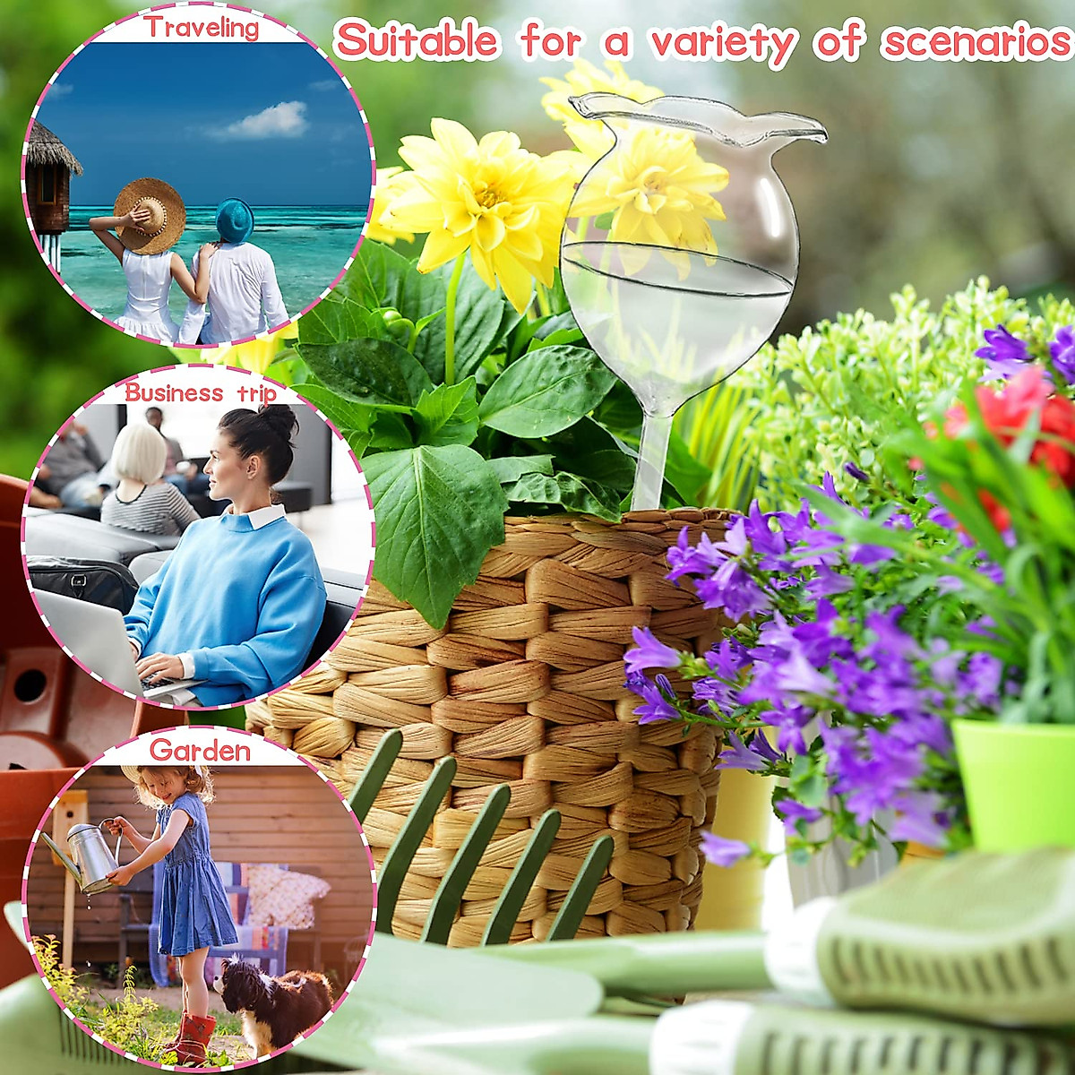 Haawooky Self Watering Globes,Clear Glass Plant Water Bulbs,Hand Blown Automatic Plant Waterer Device for Indoor Outdoor Plants,3 Pack