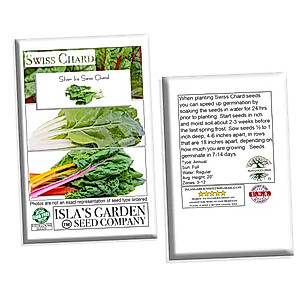 Silver Ice Swiss Chard, 300 Heirloom Seeds Per Packet, (Isla's Garden Seeds), Non GMO Seeds, Botanical Name: Beta vulgaris VAR. cicla