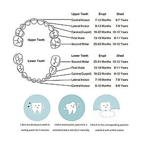 Baby Tooth Keepsake Box,Tooth Fairy Box,Wooden Tooth Box ,Baby Keepsake Storage Box,Tooth Saver,Tooth Holder for Kids Teeth,Tooth Boxes for Lost Teeth for Kids,Newborn Baby Birthday and Shower Gift