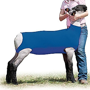 Weaver Leather Livestock Cotton Lamb Tube , Blue, Large