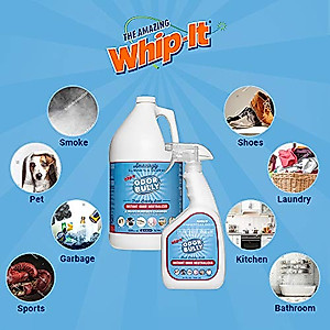 Whip-It Odor Bully Instant Odor Neutralizer Spray - Stain Remover and Odor Eliminator for Home and Car in One - Gallon and 32oz Spray