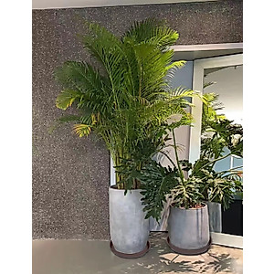 Angde Plant Saucer 10 Inch, 6 Pack of 10 inch Plant Tray, Heavy Duty Plastic Plant Saucers for Indoors Round, Plant Water Tray, Pot Trays Saucers for Planter 10-13" (Chocolate Brown)