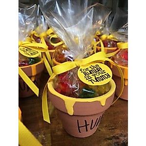 Spelable 6 Pack Honey Pot, for Cupcake, Party Favor, Planter, Party Favor for Baby Shower 1st Birthday Party Decoration Hunny Pot