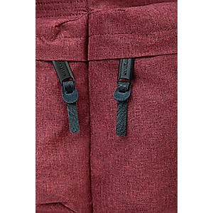 Targus Strata II College and Travel Laptop Backpack with Protective Sleeve for 15.6-Inch Laptop, Burgundy (TSB93603GL)