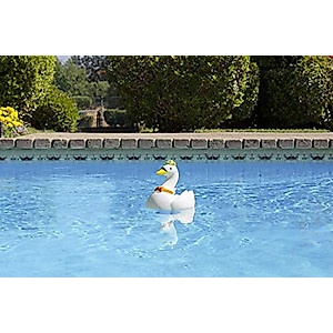 Poolmaster Swimming Pool Chlorine Dispenser, Goose