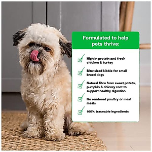 Open Farm Ancient Grains Dry Dog Food, Humanely Raised Meat Recipe with Wholesome Grains and No Artificial Flavors or Preservatives (Small Breed, 4 Pound (Pack of 1))