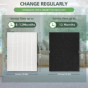 116130 HEPA Replacement Filter H 116130 for Winix 5500-2 Plasmawave Air Purifier and Models AM80 - HEPA Filter and Activated Carbon Filter Combo Pack