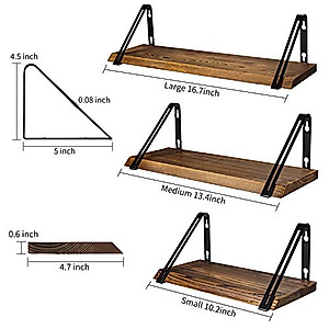 TJ.MOREE Floating Shelves Wall Mounted Decor Set of 3 - Carved Carbonized Brown