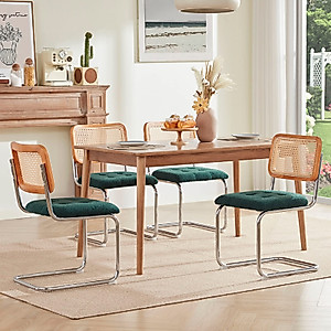 Farini Kitchen Dining Chairs Set of 2,Mid-Century Modern Chair Armless Mesh Backrest Cane Rattan Chairs for Home Dining Room(Dark Green,Teddy Velvet)