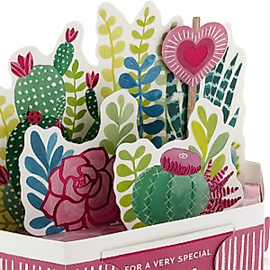 Hallmark Pop Up Birthday Card for Mom (Displayable Succulents and Flowers)