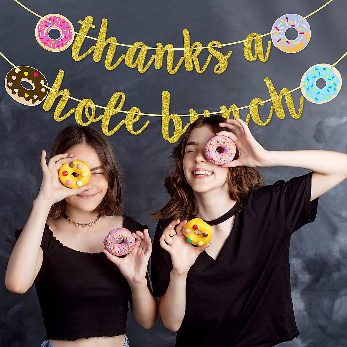 Thanks a Hole Bunch Banner, Pre-strung Donut Thanks Banner, Donut Baby Shower, Donut Bar, Donut Birthday Party Banner, Donut Theme Party Decorations