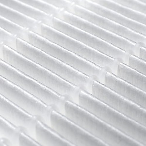 Winix Genuine Replacement Filter R for T810 Air Purifier