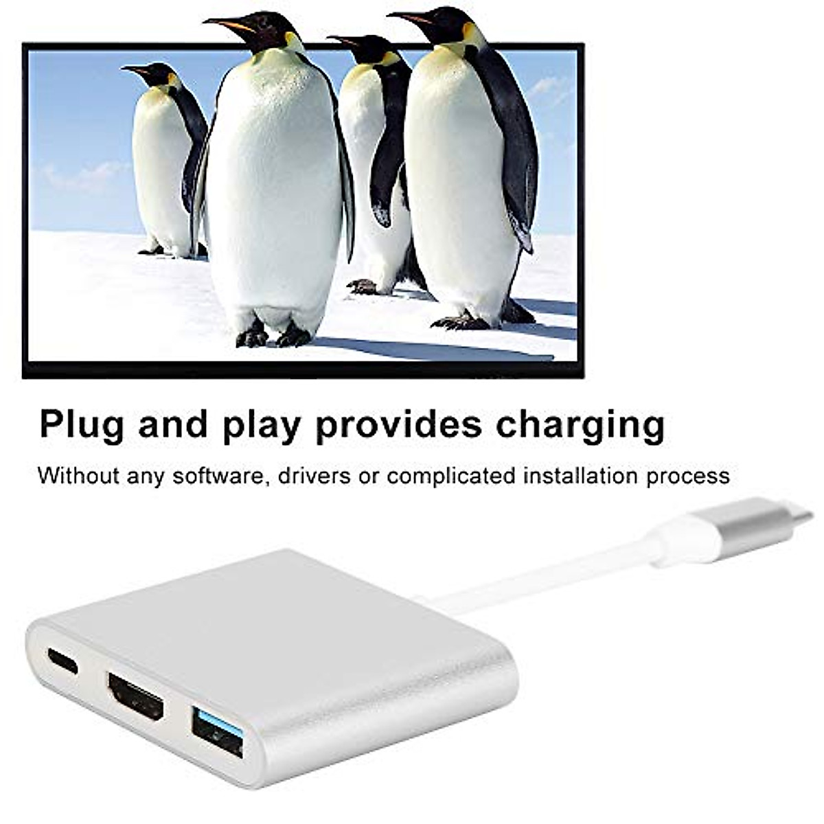 Shanrya Converter, 3 in 1 Type‑c Adapter, 1PCS Plug and Play for Education Presentations Films Exhibitions(Silver)