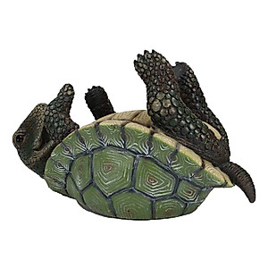 Ebros Gift Drunken Coastal Sea Turtle Tortoise Wine Bottle Holder Caddy Figurine As Home Kitchen Wine Cellar Decorative Storage Organizer Wild Aquatic Animals Turtles Terrapins Tortoises Decor