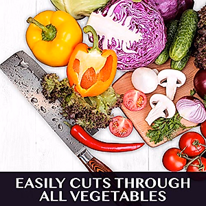 TradaFor Chopping Knife - Vegetable Knife - Usuba Asian Knife - Japanese Vegetable Cleaver Knife - Kitchen Knife - High Carbon Stainless Pro Japanese Cleaver Knife - Gift in Stylish Gift Box