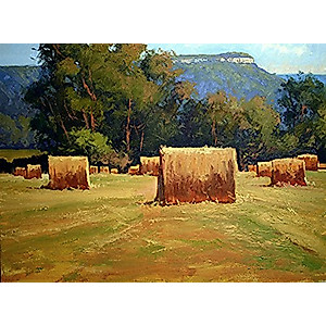 Hill Country Bales