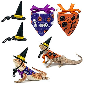 Vehomy 4Pcs Halloween Bearded Dragon Witch Costume Bearded Dragon Witch Hats Lizard Bandanas with Pumpkin Candy Pattern Lizard Wizard Hat Lizard Pumpkin Scarf Outfit for Hamster Leopard Gecko