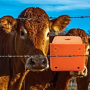 ULTECHNOVO Mineral Salt Block Holder Livestock Salt Block Feeder Farm Animal Feeding Containers Salt Lick Feeding Boxes for Horses Cattle Sheep Orange