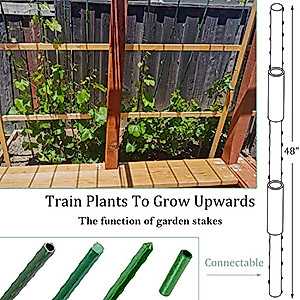 Garden Stakes,Connectable Plant Support Stakes,BOVITRO 40Pcs Steel Plant Stakes with 20 Connectors[16 Inches Each-Adjust Length Freely]