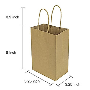 bagmad 100 Pack 5.25x3.25x8 inch Brown Small Paper Bags with Handles Bulk, Gift Paper Bags, Kraft Birthday Party Favors Grocery Retail Shopping Craft Bags Takeouts Business (Plain Natural 100pcs)