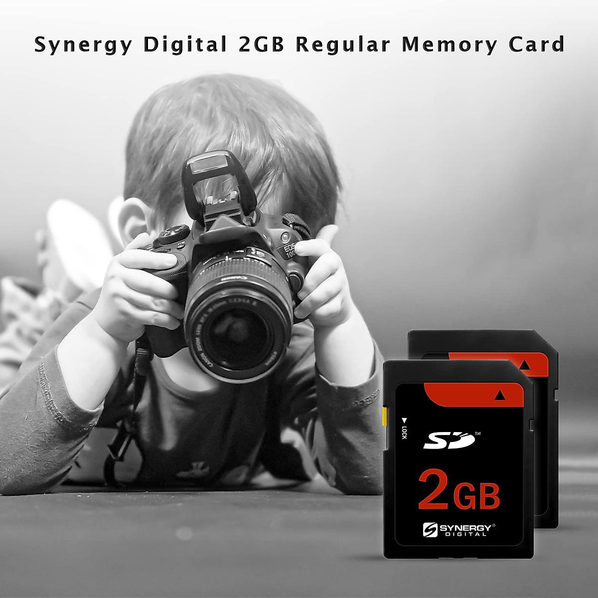 Nikon Coolpix 3200 Digital Camera Memory Card 2GB Standard Secure Digital (SD) Memory Card