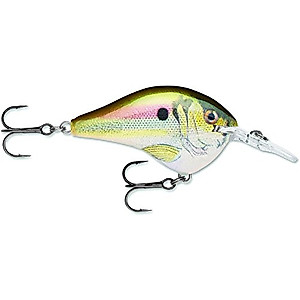Rapala Dives-to 06 Live River Shad Lure Multi