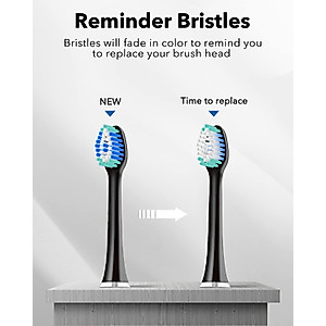 MySmile Electric Toothbrush for Adults, Rechargeable Sonic Electronic Toothbrush with 12 Brush Heads and Travel Case