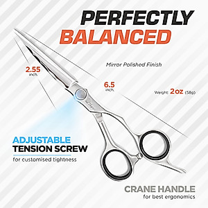 Professional Hair Scissors 6 Inch with Extremely Sharp Blades, VG10 Super Steel Hair Cutting Scissors, 3D Convex Edge, Super Durable, Smooth Motion & Fine Cut, Barber Scissors with Elegant Case…