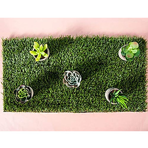 GOLDEN MOON Artificial Grass Turf Patch Tiles, 4 Pcs 12 x 12 Synthetic Grass Square Mats DIY Grass Decoration