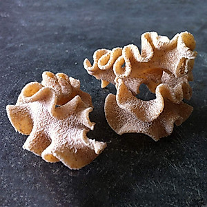 Sfoglini Organic Whole Grain Reginetti Pasta, 12 Ounce, (Pack of 4)