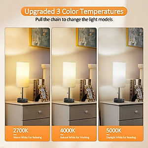 Small Bedside Table Lamp with 3 Color Temperatures, Kids Mini Bedside Lamp, Pull Chain Nightstand End Table Lamp with USB Port & AC Outlet for Bedroom Guestroom Livingroom Dorm, Beige, 1 Pack