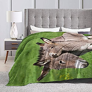 Animal Donkey Meadow Large Flannel Fleece Blanket Microfiber Blanket-Super Soft Warm Comfortable Blanket Camping Travel Chair Sofa Sofa Bed 80"x60"