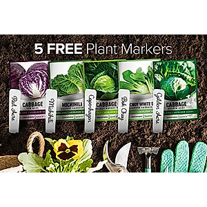 Cabbage Seeds for Planting 5 Individual Packets Bok Choy, Michihili (Napa) Chinese Cabbage, Red, Golden Acre and Copenhagen Market Early for Your Non GMO Heirloom Vegetable Garden by Gardeners Basics