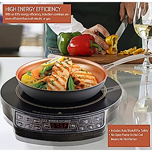 Nuwave (Renewed) Gold Precision Induction Cooktop, Portable, Large 8” Heating Coil, 12” Shatter-Proof Ceramic Glass Surface, 51 Temp Settings from 100°F - 575°F, 3 Watt Settings 600, 900, & 1500 Watts