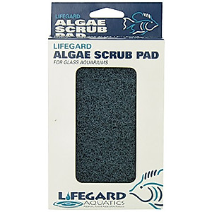 Lifegard Aquatics 4-Inch by 6-Inch Blue Algae Pad,Black