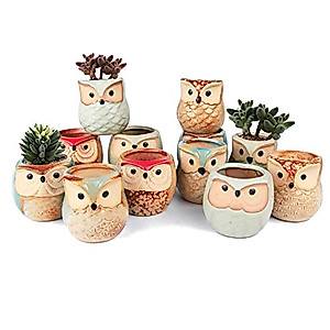 T4U 2.5 Inch Owl Ceramic Succulent Planter Pots with Drainage Hole Set of 12, Flowing Glaze Porcelain Handicraft Plant Holder Container Gift for Mom Sister Aunt Best for Home Office Garden Decoration