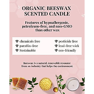 Veda Tinda Scent Candles for Home Scented, Lavender Vanilla Clove Jasmine Natural Beeswax Aromatherapy Glass Jar Candles for Relaxing, Candles Gifts Set for Women, 4-Pack Up 80 Hours Long Lasting