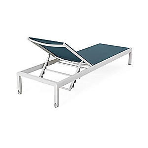 Christopher Knight Home Vicky Coral Outdoor Chaise Lounges (Set of 2), Blue and White