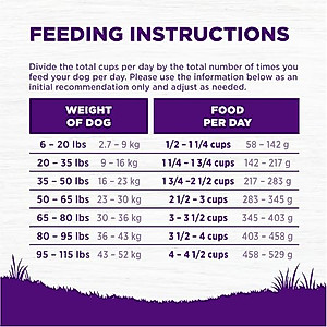 Wellness Complete Health Senior Dry Dog Food with Grains, Chicken & Barley, 5-Pound Bag