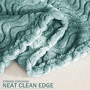 Exclusivo Mezcla Large Flannel Fleece Throw Blanket, Jacquard Weave Wave Pattern (50" x 70", Celadon) - Soft, Warm, Lightweight and Decorative