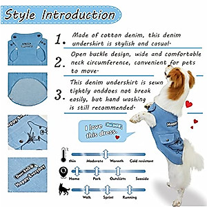 DeerBAO pet Denim Vest,Blue Washed Denim Dog Undershirt,Cute Fun Cool Dog and cat Clothes for Small and Medium Dogs and Cats (XS)