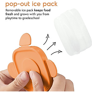 Storrii Baby Food Containers with Lids by Quark - Freezer Safe, Locking Tab Lids with Built in & Removable Ice Pack - Microwave & Top Rack Dishwasher Safe - 3 x 5oz Meal Prep Containers with Lids