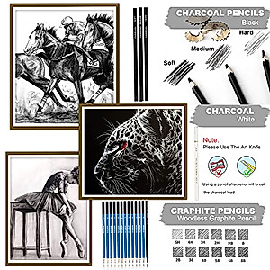 KALOUR 33 Pieces Pro Drawing Kit Sketching Pencils Set,Portable Zippered Travel Case-Charcoal Pencils, Sketch Pencils, Charcoal Stick,Sharpener,Eraser.Art Supplies for Artists Beginner Adults Teens
