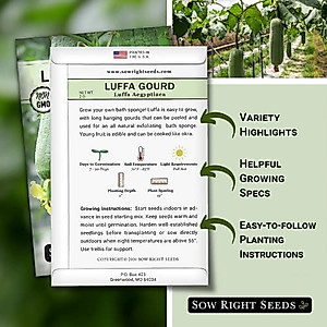 Sow Right Seeds - Luffa Gourd Seed for Planting - Non-GMO Heirloom Packet with Instructions to Plant a Home Vegetable Garden - Great Gardening Gift (1)