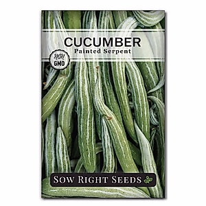 Sow Right Seeds - Cucumber, Painted Serpent Seeds for Planting - Non-GMO Heirloom Packet with Instructions to Plant and Grow an Outdoor Home Vegetable Garden - Asian Striped Snake - Great Gift