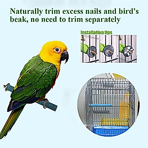 Hamiledyi 5 Pcs Parrot Perch Stand,Natural Wood Bird Perch Stand Platform Paw Grinding Sticks Cage Accessories Exercise Toys for Budgies Parakeets Cockatiels Conures Lovebirds